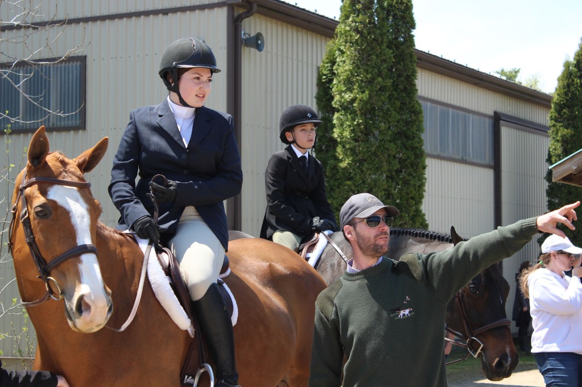 Testimonials – DJM Equine